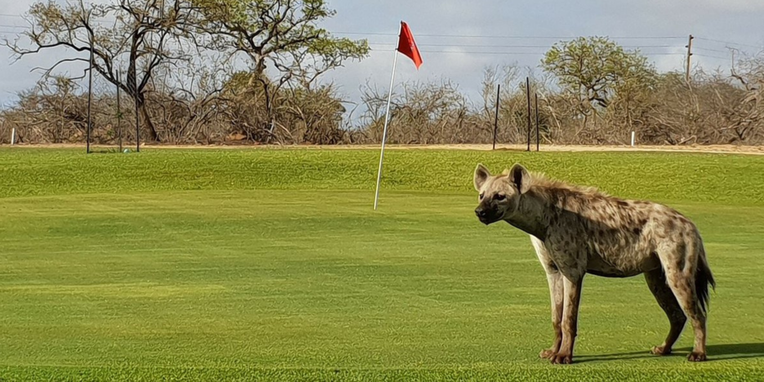 World’s Wildest Golf Course - Bucket List Golf - GolfPlayed